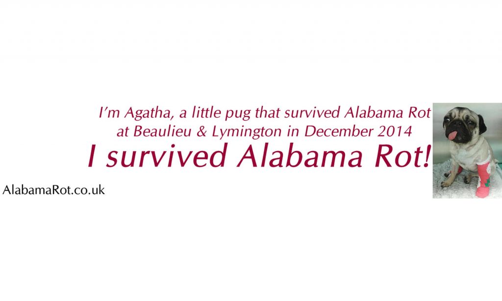 CRGV Maps - AlabamaRot.co.uk